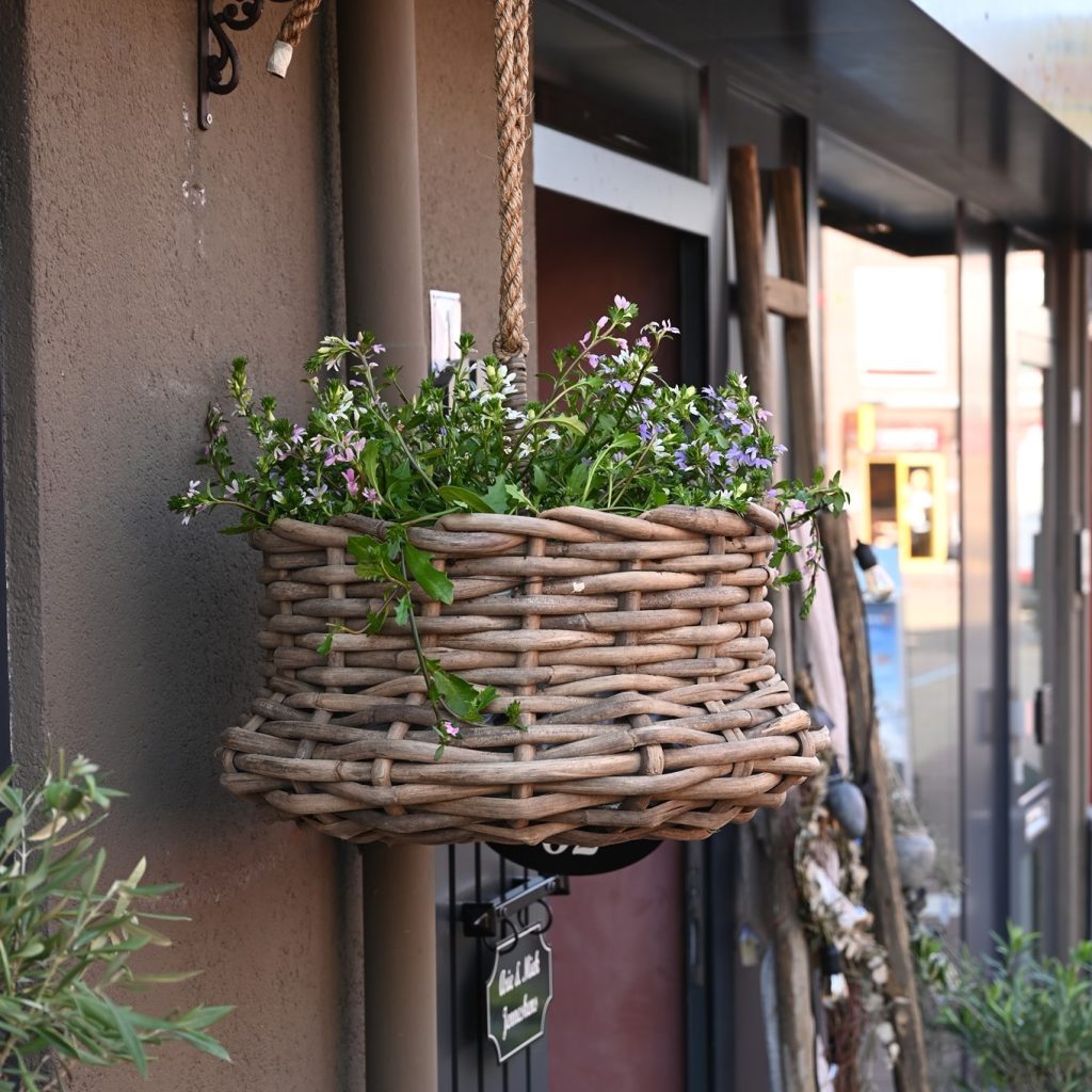 Mand Julia Groot Gommaire Mand Julia Groot Gommaire